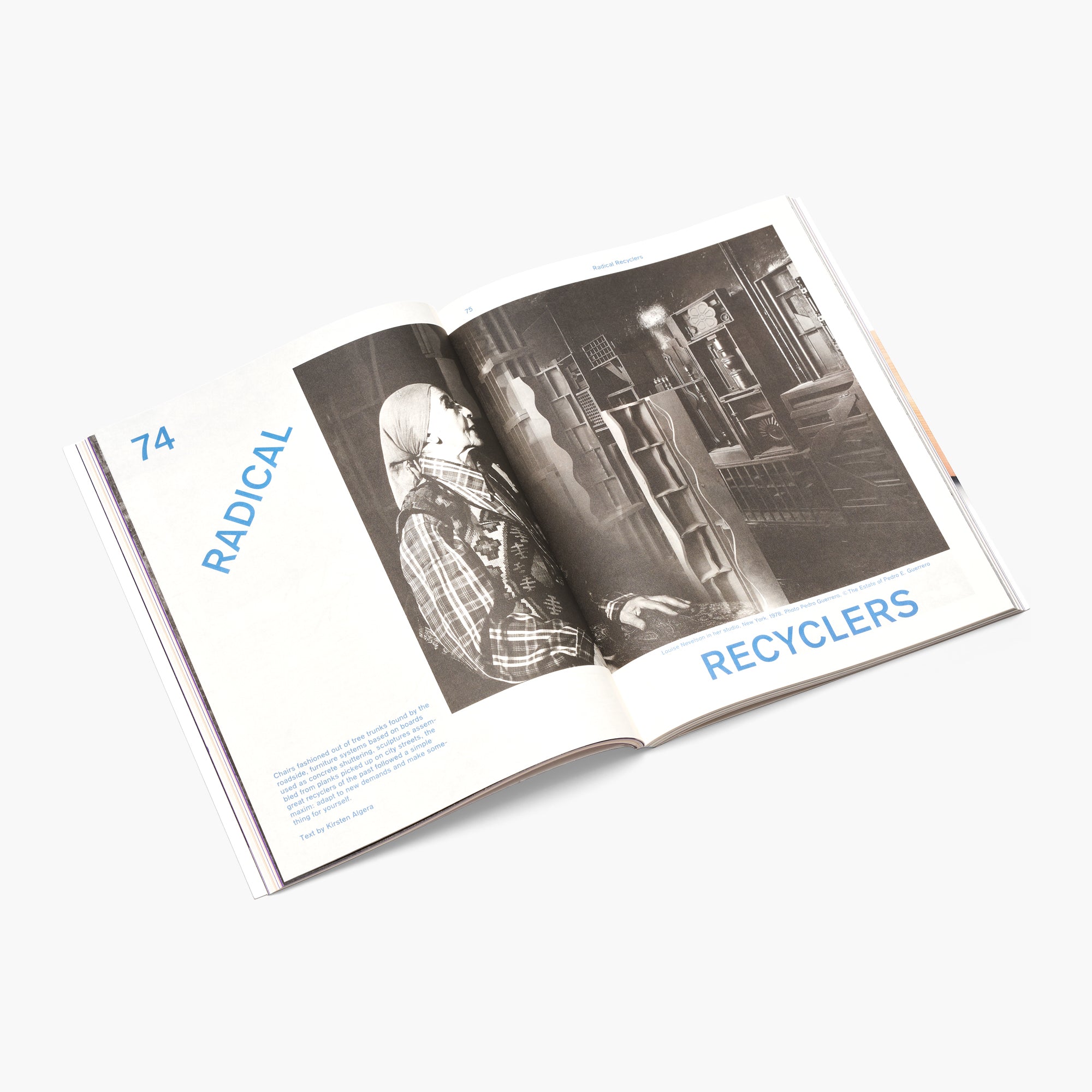 FORMA - MacGuffin Magazine, Issue 12 The Log